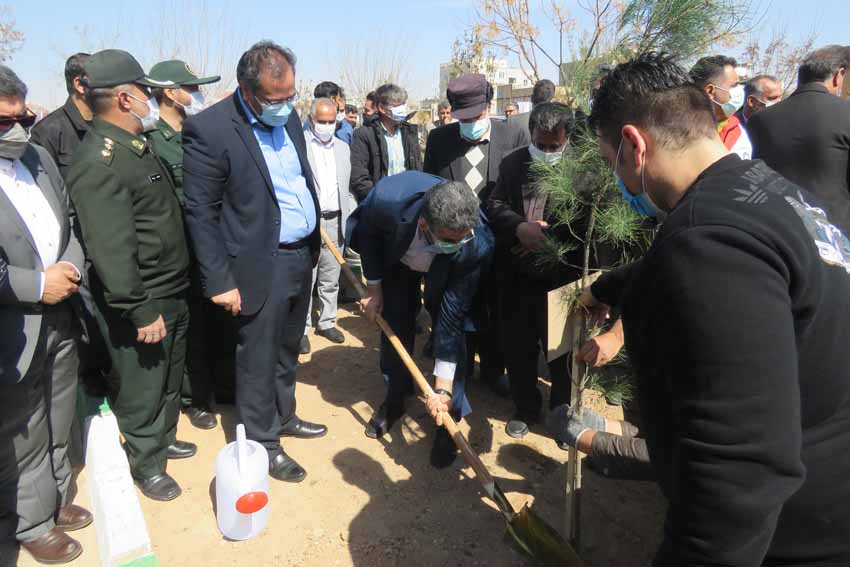 شهرداری قرچک